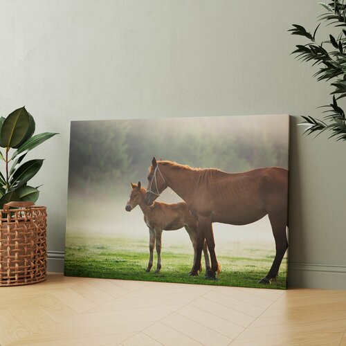 Картина на холсте "Коричневая лошадь, стоящая рядом с маленькой лошадью на пышном зеленом поле" 50x70 см. Интерьерная, на стену.