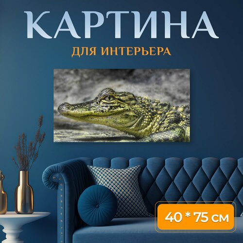 Картина на холсте "Рептилия, крокодил, хищник" на подрамнике 75х40 см. для интерьера