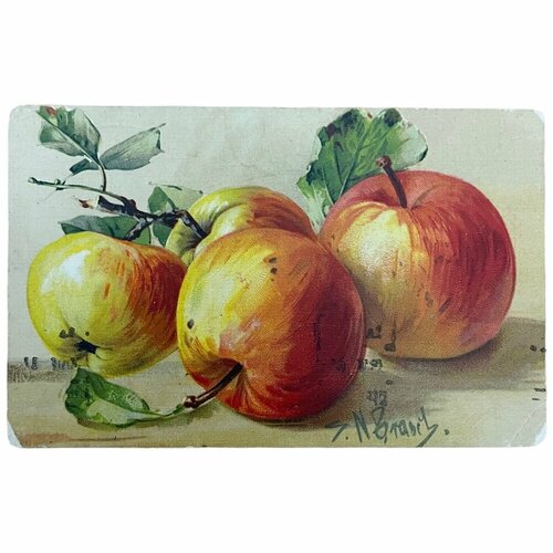 Почтовая открытка "Яблоки" XX век, Европа