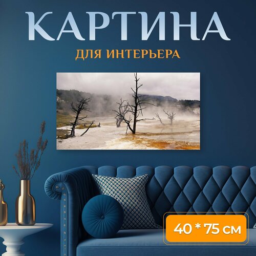 Картина на холсте "Канарские весна паров, мамонт, горячий" на подрамнике 75х40 см. для интерьера