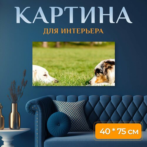 Картина на холсте "Собаки, золотистый ретривер, белый" на подрамнике 75х40 см. для интерьера