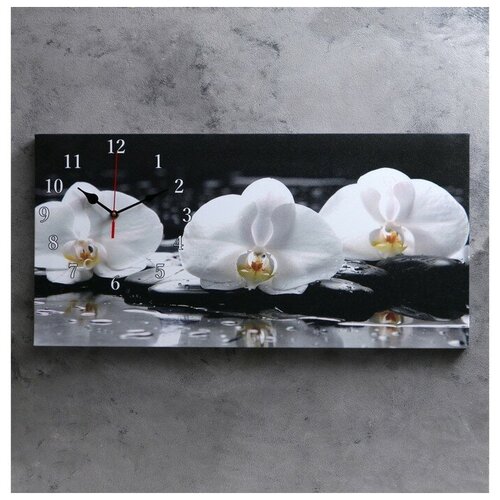 Часы-картина настенные, серия: Цветы, "Белые орхидеи", 40 х 76 см, микс