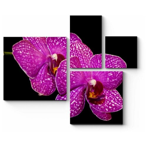 Модульная картина Тропическая орхидея 112x93