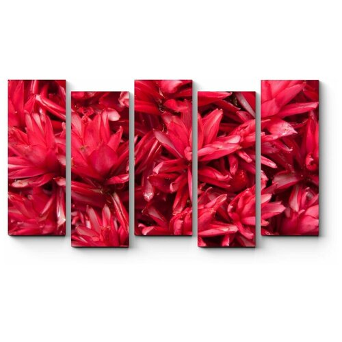 Модульная картина Красные тропические цветы110x64