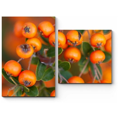 Модульная картина Спелые ягоды рябины 130x98