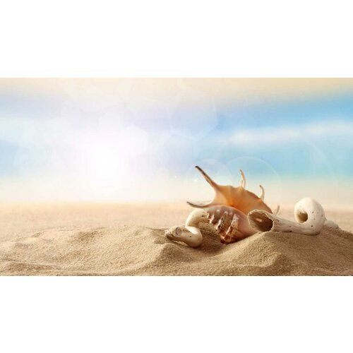 Картина на холсте 60x110 LinxOne "Ракушка песок деревяшка небо пляж" интерьерная для дома / на стену / на кухню / с подрамником