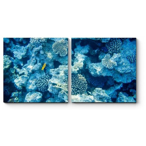 Модульная картина Коралловые рифы 50x25