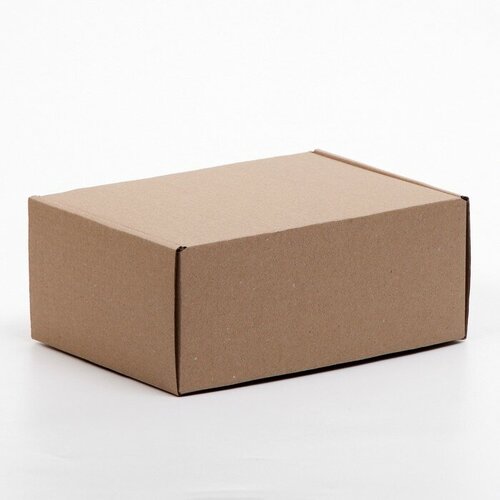 Коробка самосборная, бурая, 22 х 16,5 х 9,5 см