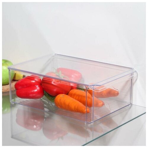 IDEA Контейнер для холодильника с крышкой IDEA, 20×30×10 см, цвет прозрачный