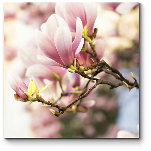 Модульная картина Весны прекрасное цветение 60x60