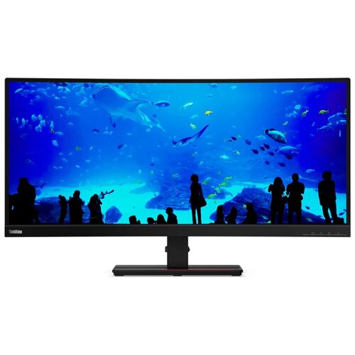 Монитор 34" Lenovo ThinkVision T34w-20 (61F3GAT1EU)