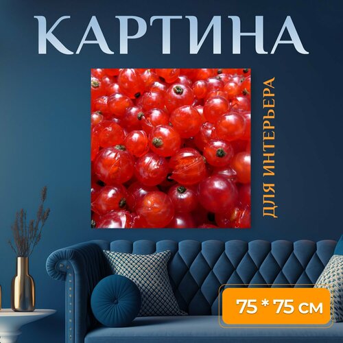 Картина на холсте "Смородина, ягода, ягоды" на подрамнике 75х75 см. для интерьера