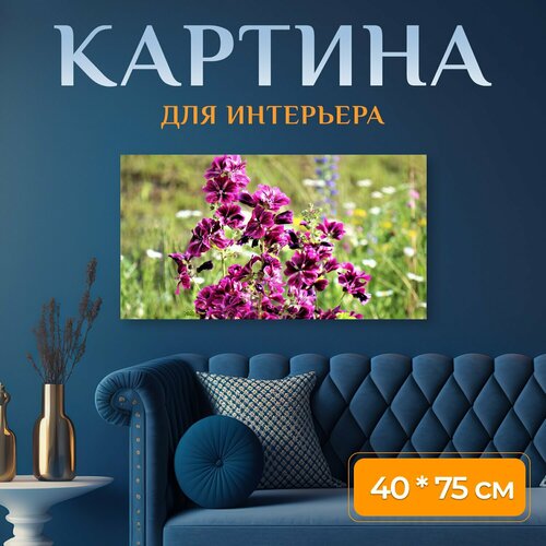 Картина на холсте "Луг, цветы, фиолетовый" на подрамнике 75х40 см. для интерьера