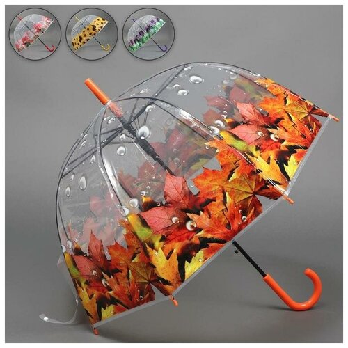 Зонт-трость полуавтомат, 8 спиц, для женщин, мультиколор