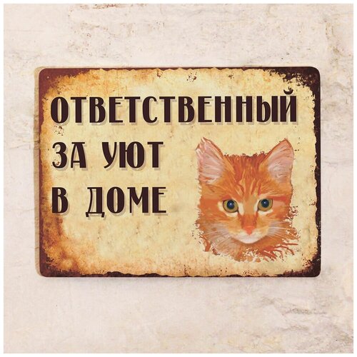 Металлическая табличка Рыжий кот, металл, 30Х40 см
