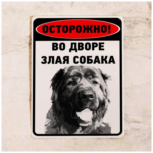 Жестяная табличка Во дворе злая собака, металл, 30Х40 см