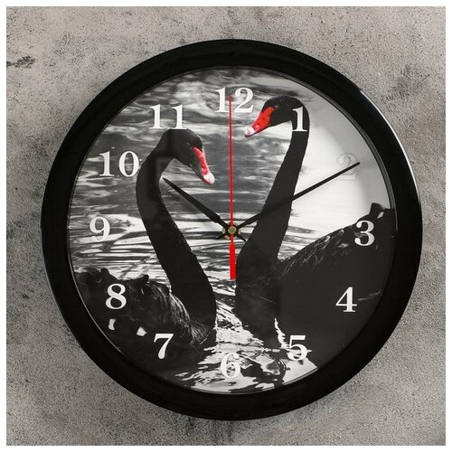 Часы настенные серия: Животный мир "Лебеди" плавный ход d=28 см
