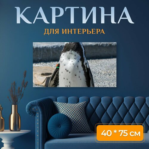 Картина на холсте "Гумбольдта пингвин, зоопарк, птица" на подрамнике 75х40 см. для интерьера