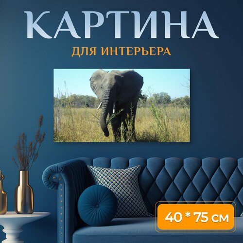 Картина на холсте "Слон, малави, дикая жизнь" на подрамнике 75х40 см. для интерьера