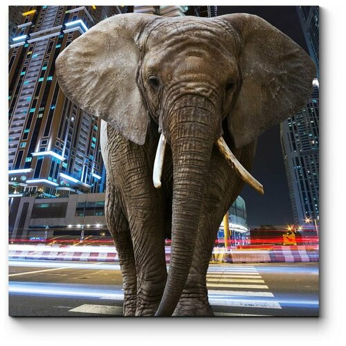 Модульная картина Слон на фоне города30x30