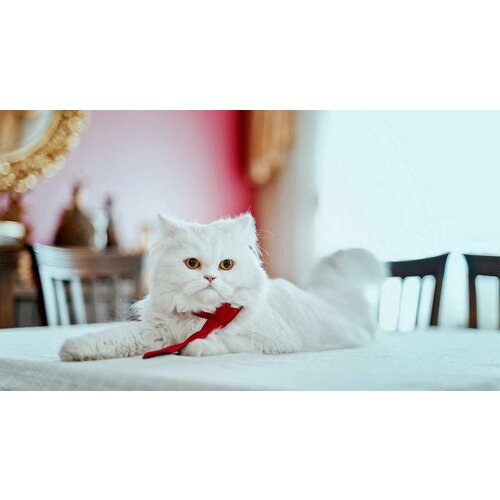 Картина на холсте 110x60 LinxOne "Персидская кошка пушистый" интерьерная для дома / на стену / на кухню / с подрамником