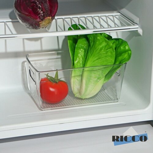 RICCO Контейнер для холодильника RICCO, 23,5×13×11 см