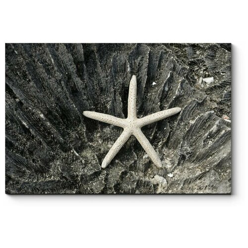 Модульная картина Морская звезда 110x73
