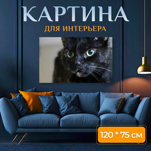 Картина на холсте "Кот, похмелье, кошачьи глаза" на подрамнике 120х75 см. для интерьера