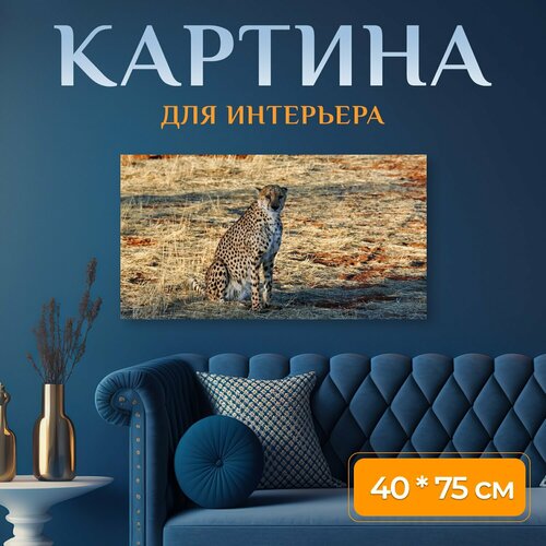 Картина на холсте "Гепард, африке, намибия" на подрамнике 75х40 см. для интерьера