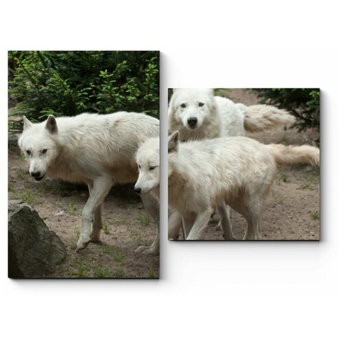 Модульная картина Полярные волки 190x143