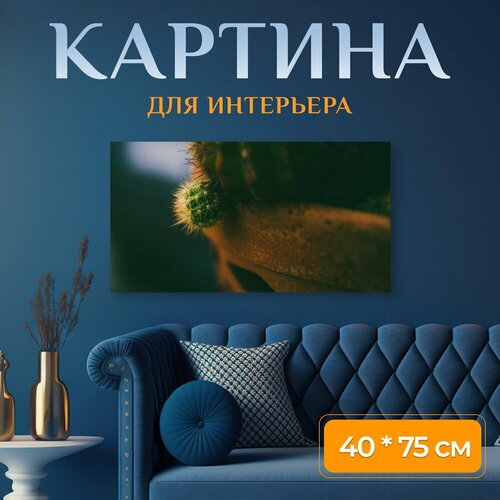 Картина на холсте "Шипы, кактус, завод" на подрамнике 75х40 см. для интерьера