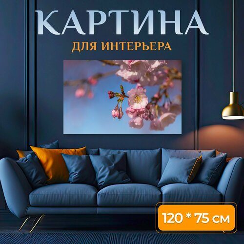 Картина на холсте "Японская сакура, цветы, дерево" на подрамнике 120х75 см. для интерьера