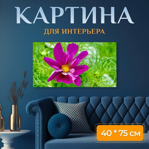 Картина на холсте "Цветок, фиолетовый, лето" на подрамнике 75х40 см. для интерьера