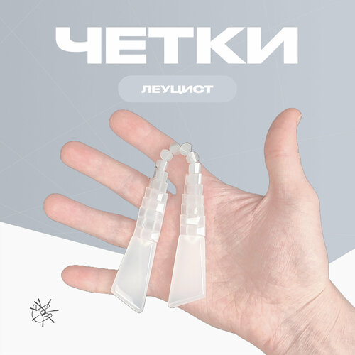 Четки Chetki handmade Леуцист, 1 шт., размер 20.9 см, белый