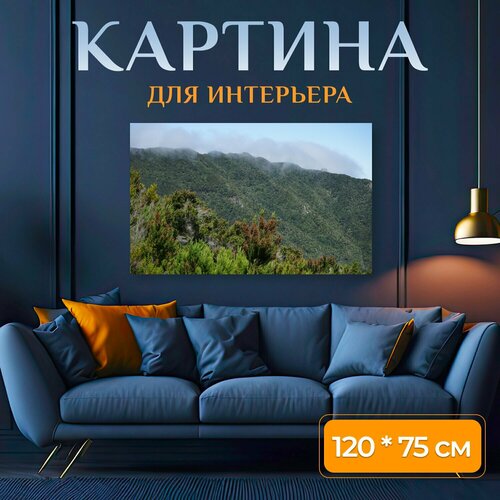Картина на холсте "Анана горы, точка зрения, тенерифе" на подрамнике 120х75 см. для интерьера
