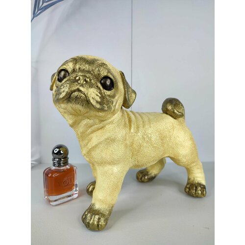 Статуэтка большая интерьерная собака мопс в декоре "Золотой Велюр" , выс. 22.5 см.