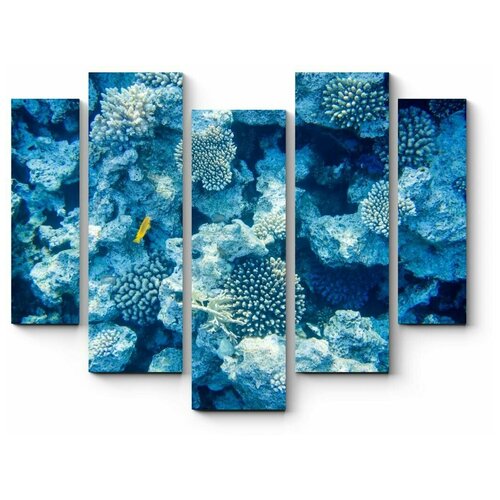 Модульная картина Коралловые рифы 101x82