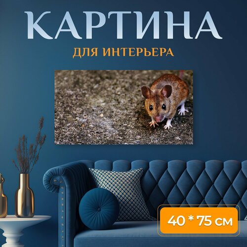 Картина на холсте "Мышь, грызун, милый" на подрамнике 75х40 см. для интерьера