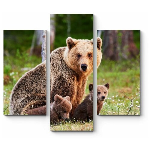 Модульная картина Семья очаровательных медведей 130x117