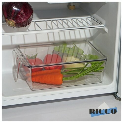 Контейнер для холодильника с крышкой и ручкой RICCO, 32×20,5×10 см