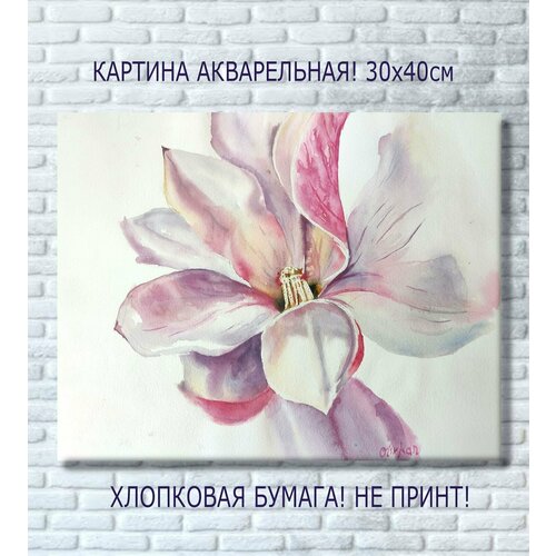 Картина Магнолия, Цветы акварельная живопись, 30х40 см