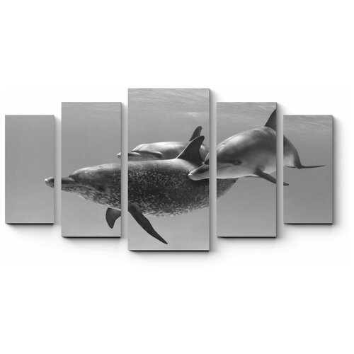 Модульная картина Трио пятнистых дельфинов120x66