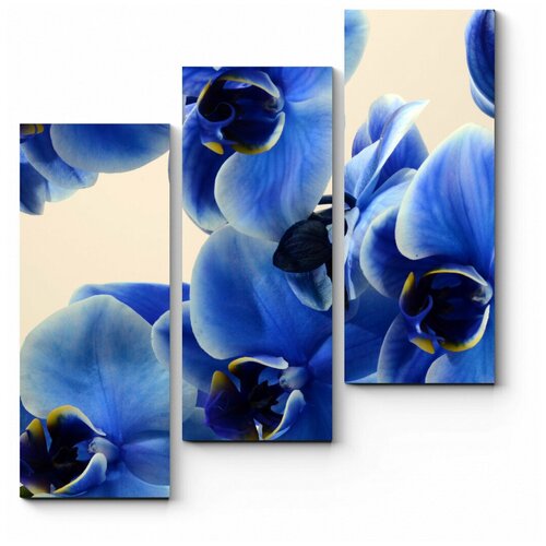 Модульная картина Синие орхидеи 90x96