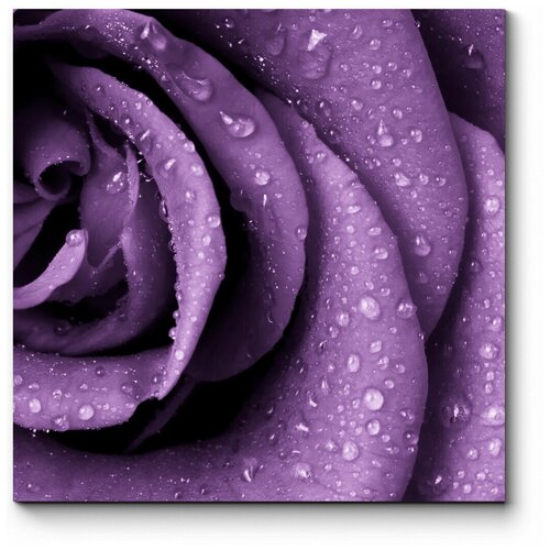 Модульная картина Фиолетовая роза 40x40