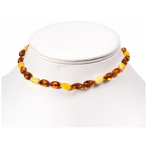 Колье Amberprofi, янтарь, мультиколор