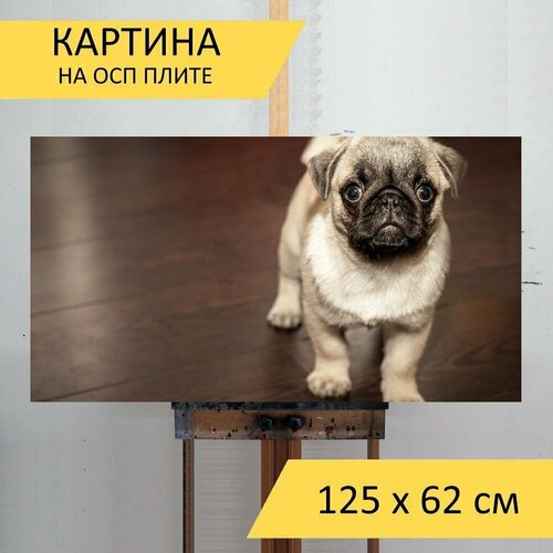 Картина на ОСП 125х62 см. "Мопс, щенок, собака" горизонтальная, для интерьера, с креплениями