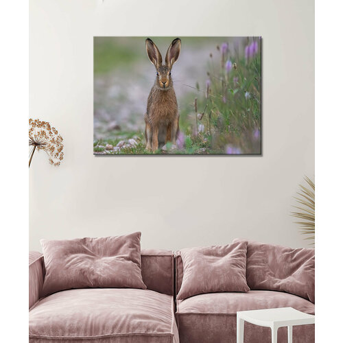 Картина - Заяц, зайцы, зайчонок, зайка, ушастый заяц, пушистый заяц, заяц в лесу, заяц с цветами, заяц в поле (3) 30х40
