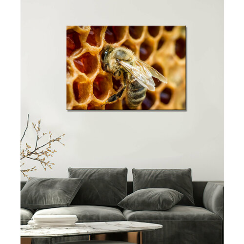Картина/Пчела/Пчелы/Пчела на цветке/Пчела вблизи/Пчелакрупным планом/ - Пчела (25) 20х30