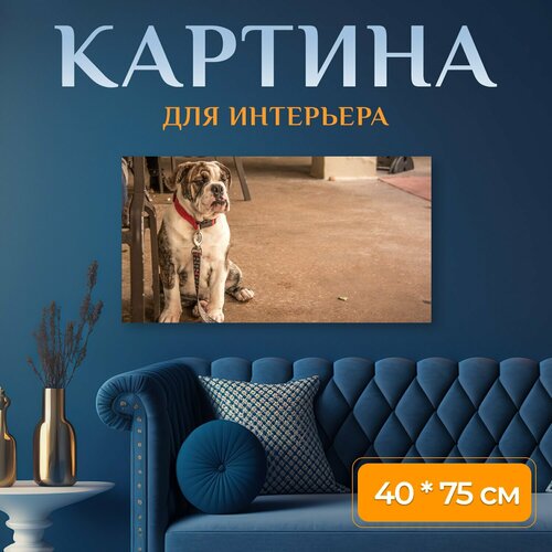 Картина на холсте "Собака, животное, портрет" на подрамнике 75х40 см. для интерьера