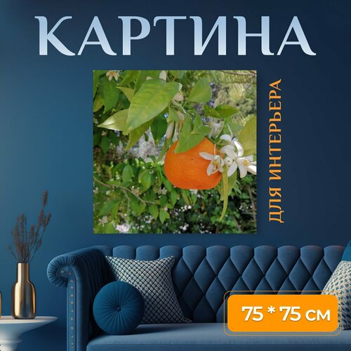 Картина на холсте "Природа, апельсин, лепестки" на подрамнике 75х75 см. для интерьера
